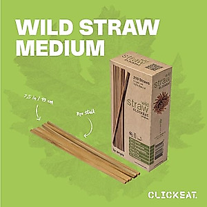 Clickeat Biodegradable Straws 100% Natural, Compostable, Disposable - 210 PCS, Eco-Friendly, Ideal for Restaurants, Coffee Stirring, Made with Rye Stalks - Sustainable Choice for Your Beverages