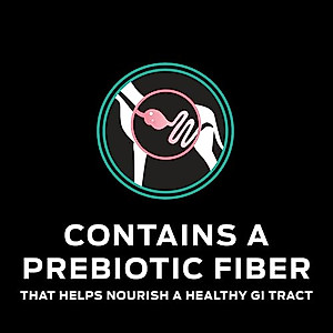 Pro Plan Veterinary Diets Purina EN Gastroenteric Fiber Balance Canine Formula Dog Food Dry - 6 lb. Bag