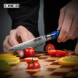 CRICO Paring Knife 5 inch, Kitchen Utility Knife, Fruit Paring Knives, VG10 Damascus Super Steel Forged 67-Layers, Full Tang Wood&Resin Handle, Gift Box - Flow Series