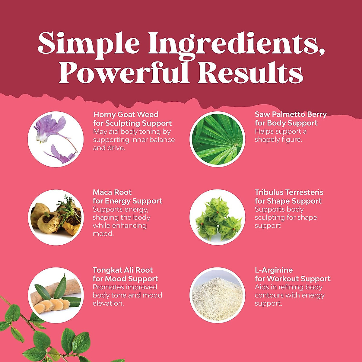 Natures Craft G-Curve Butt and Breast Enhancement Pills - Herbal Enhancer May Support Body Sculpting Curves with Saw Palmetto Extract Horny Goat Weed for Women *Results Vary 60 Count