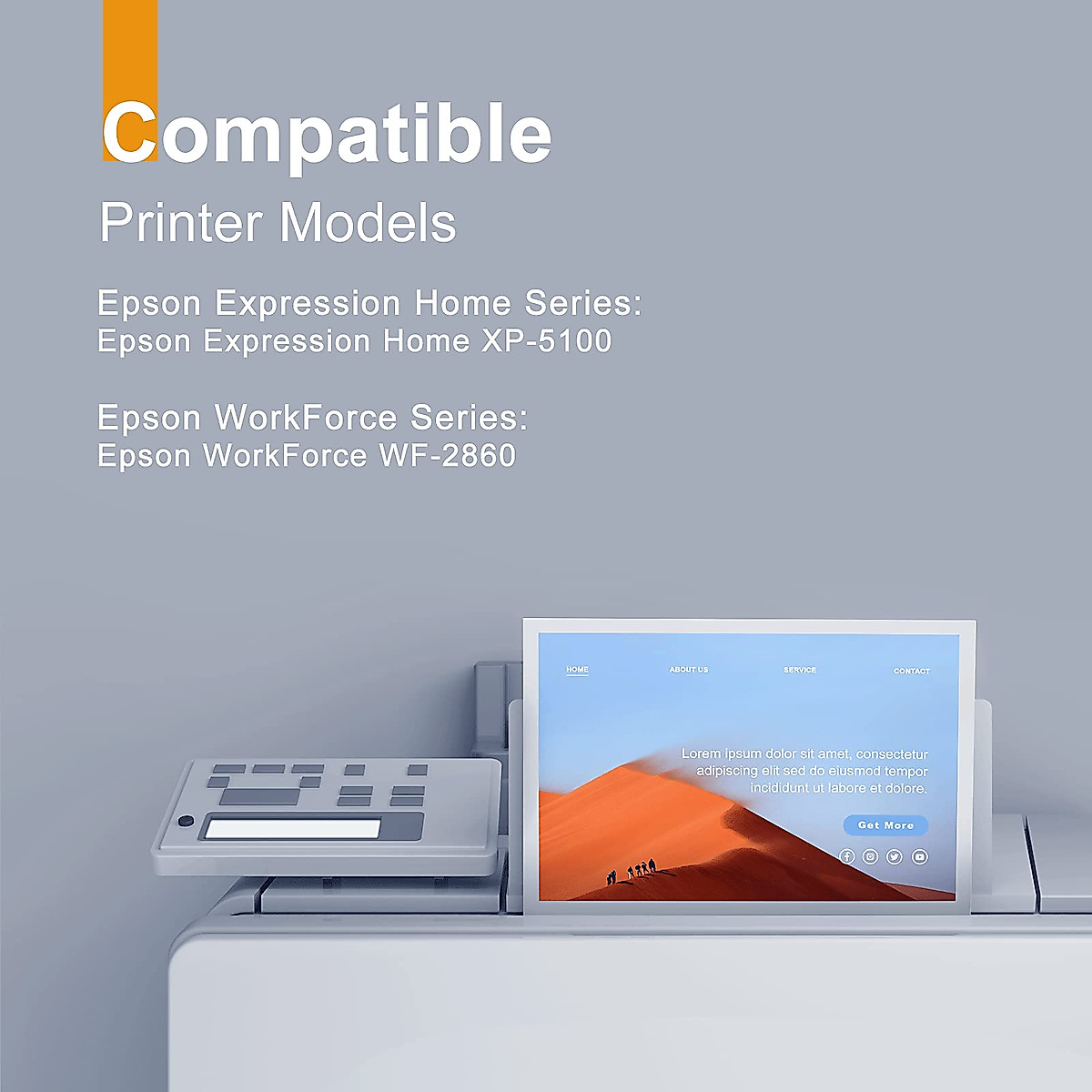 InkNI (New Chip Remanufactured Ink Cartridges Replacement for Epson T202XL 202XL 202 XL for Workforce WF-2860 WF2860 Expression Home XP-5100 XP5100 Printer (Black, 2-Pack)