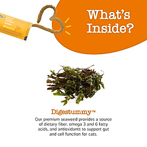 Zesty Paws Cat Mousse Squeezies Puree Cat Treats for Digestion - with Seaweed, Omega Fatty Acids, Antioxidants - Support for Digestive Health Cats - Chicken Flavor - 18 Count