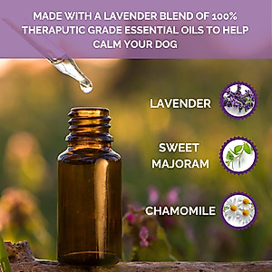 Aromadog Rosewood Calm Fleece Flattie Dog Toy, with Calming Lavender Blend Essential Oils