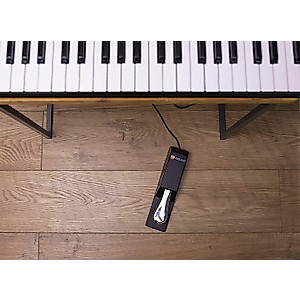 AKAI Professional MPK Mini Play MK3 and M-Audio SP-2 - MIDI Controller Bundle - 25-Key USB MIDI Keyboard Controller with Beat Pads, Sustain Pedal and Software Suite