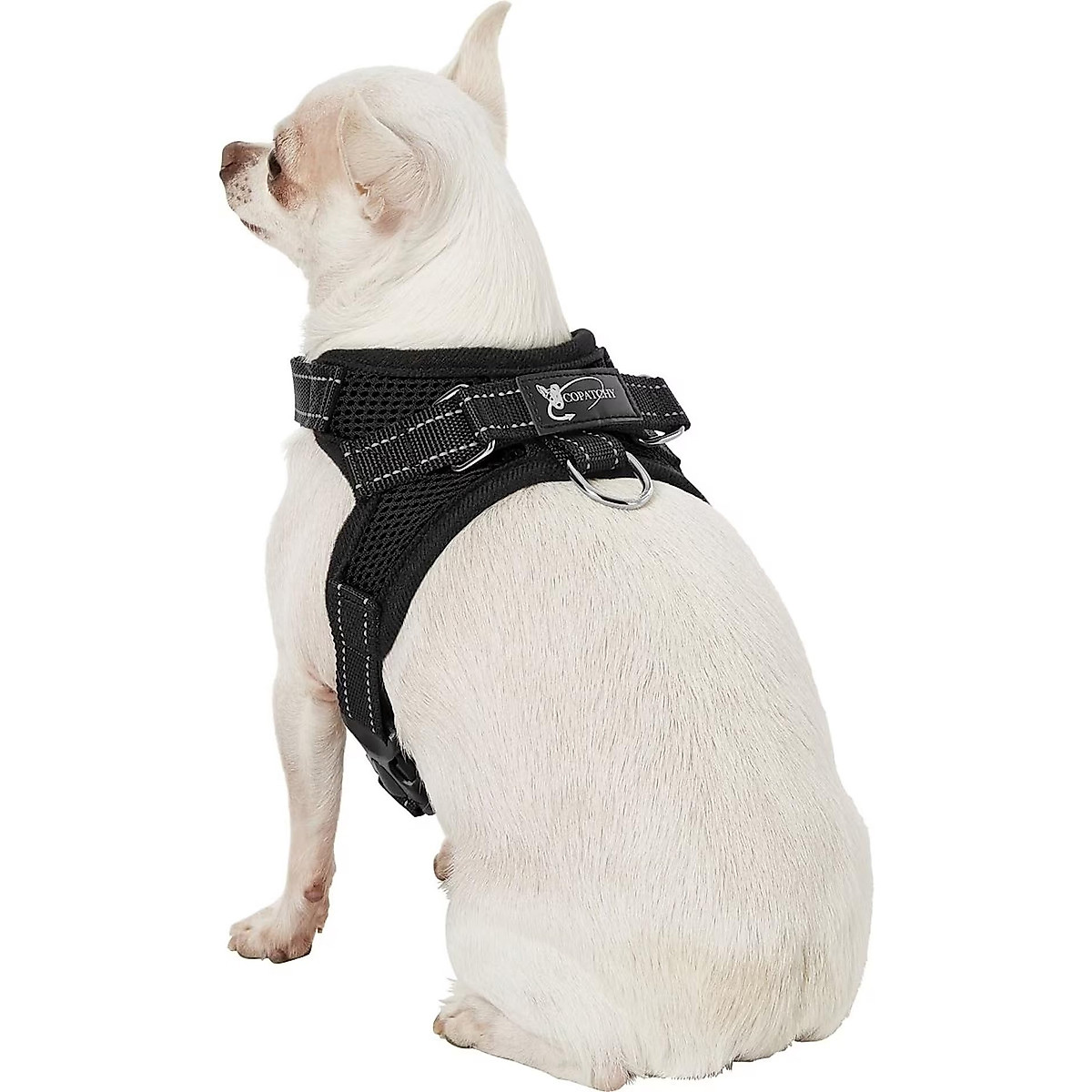 Copatchy Dog Harness Small Sized Dogs - All Weather Mesh overhead adjustable no pull Vest Puppy reflective Harness with handle for Extra Small and Small Dogs by Copatchy - Harness (Black) X-Small