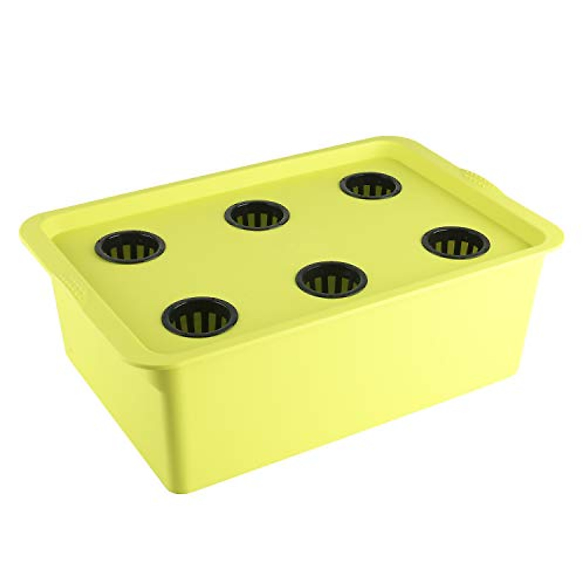 Homend DWC Deep Water Culture Hydroponic System Growing Kit, Medium Size w/Airstone, 6 Plant Sites (Holes) Bucket, Air Pump, Rockwool - Best Indoor Herb Garden for Lettuce, Mint, Parsley (6 Sites)