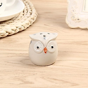 WAIT FLY Owl Shape Ceramic Salt and Pepper Shakers Home Kitchen Decoration-Gray-Set of 2