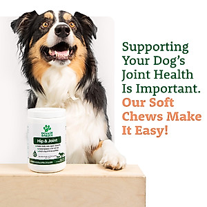 Doggie Dailies Hip and Joint & Probiotic Bundle