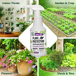Mighty Mint 32oz Plant Protection Peppermint Spray for Spider Mites, Insects, Fungus, and Disease