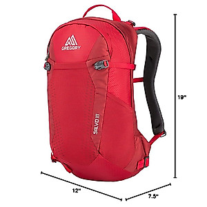 Gregory Mountain Products Men's Salvo 18 Liter Backpack, Tango Red, One Size
