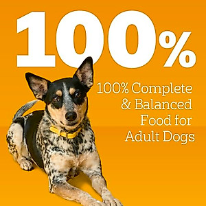 Pedigree Chopped Ground Dinner Weight Management Wet Dog Food Chicken & Rice Dinner in Meaty Juices, 13.2 oz. Cans 12 Count