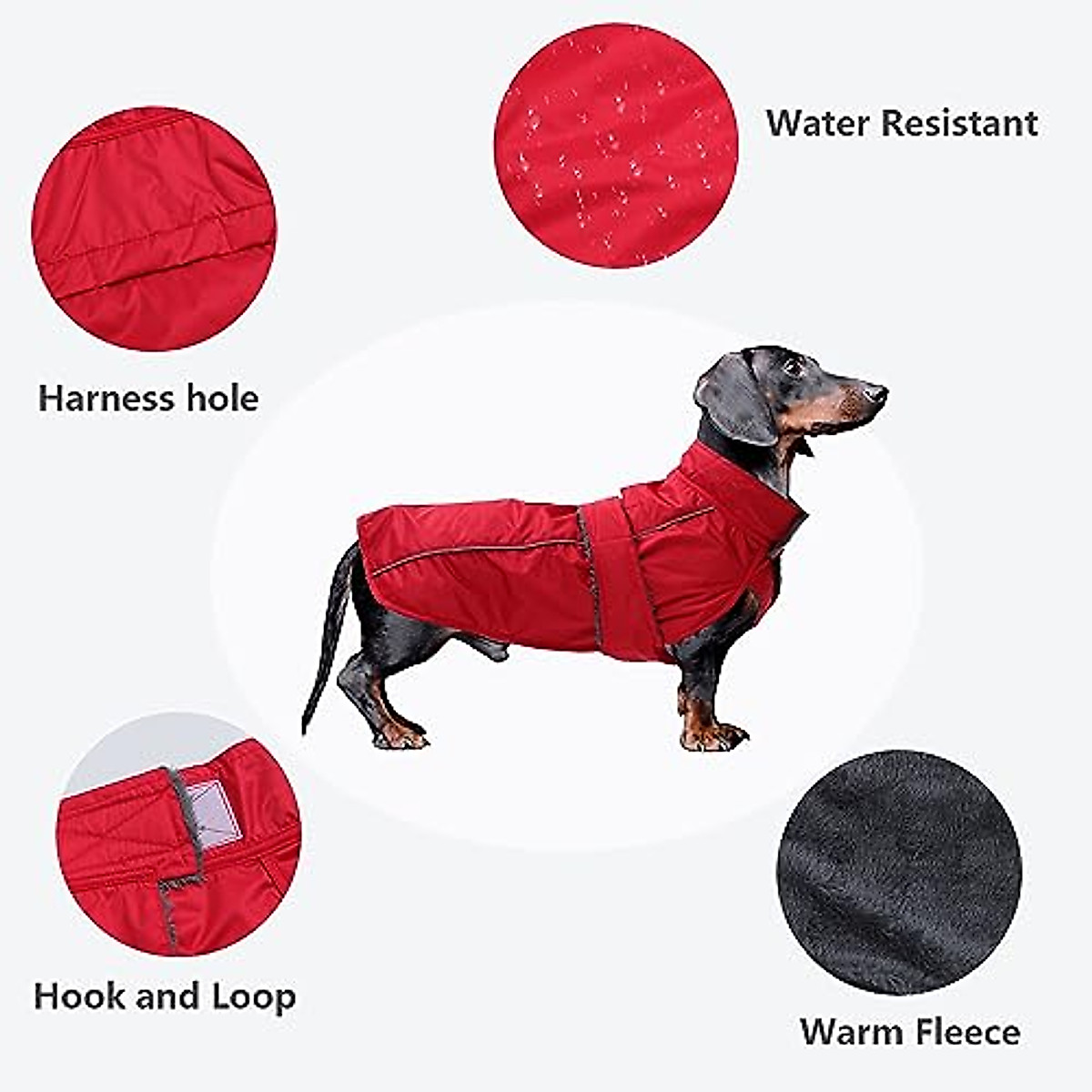 Dachshund Coat Waterproof, Perfect for Dachshund Sausage, Puppy Winter Jacket with Padded Fleece Lining, Outdoor Dog Clothing with Adjustable Bands and Underbelly Protection - Red - XS