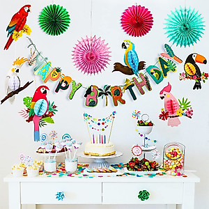 PAMISO Tropical Birds Party Supplies, Hanging Parrot Paper Honeycomb Decorations Paper Cutouts for Happy Birthday/Hawaiian/ Rainforest /Summer Party