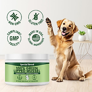 Green Lipped Mussels for Dogs & Cats - Premium Joint Supplement Powder for HIPS, Joints, and Muscles (150 Grams, Up to 500 Servings)