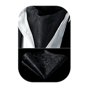 HISDERN Cravat Ties for Men with Pocket Square Casual Paisley Ascot Self Tie Scarf Handkerchief Set for Business Prom
