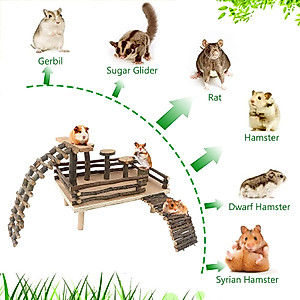 RoseFlower Hamster Playground Wooden Small Animal Activity Toys Set with Wood Ramp Bridge and Climbing Ladder - Platform Cage Toys for Syrian Hamster Mouse Gerbil Chinchilla Rat #2