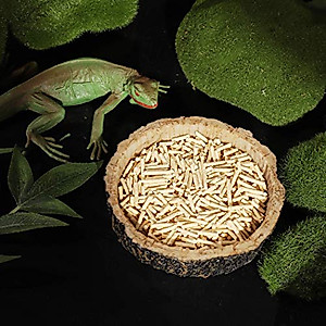 CalPalmy 2 Pack Reptile Food Bowls - Reptile Water and Food Bowls, Novelty Food Bowl for Lizards, Young Bearded Dragons, Small Snakes and More - Made from BPA-Free Plastic