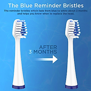 Replacement Toothbrush Heads for Waterpik Complete Care 5.0/9.0 (CC-01/WP-861), STRB-8WW, (8-Pack, White)