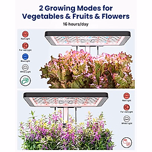 iDOO Hydroponics Growing System 12Pods, Indoor Garden with LED Grow Light, Plants Germination Kit, Built-in Fan, Automatic Timer, Adjustable Height Up to 11.3" for Home, Office