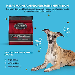 Muenster Adult Dry Dog Food, Small Breed, Large Breed - 4lb Bag Ancient Grain w/Chicken & Pork - Little Bites – Gluten Free, Non-GMO High Protein Dog Food - Soft & Healthy Digestive Dog Kibble