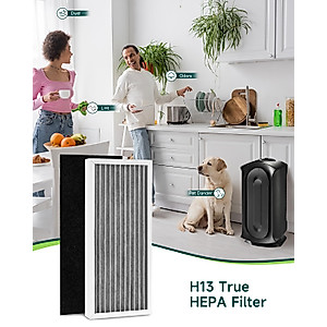 04383 Filter Replacement Compatible with Hamilton Beach 04383, 04384, 04385 Air Purifier, 1 True HEPA Filter & 4 Carbon Filters, Part# 990051000