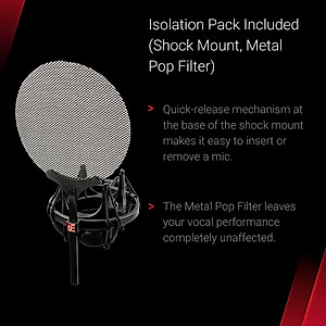 SE ELECTRONICS - 2200 Large Diaphragm Cardioid Condenser Mic with Shockmount and Filter