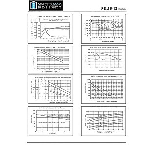 Mighty Max Battery 12V 15AH F2 Replacement Battery for Peg Perego John Deere Gator