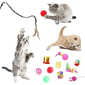 22PCS Cat Toys, Kitten Toy with Collapsible Rainbow Cat Tunnel, Cat Toys for Indoor Cats, Interactive Cat Toy Set Include Crinkle Ball, Variety Jingle Bells, Spring Toy, Mouse Toys for Cats, Kitty