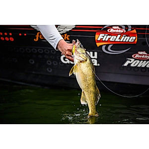 Berkley Flicker Shad Shallow Fishing Lure, Firetail Hot Perch, 2/7 oz, 2 3/4in | 7cm Crankbaits, Size, Profile and Dive Depth Imitates Real Shad, Equipped with Fusion19 Hook