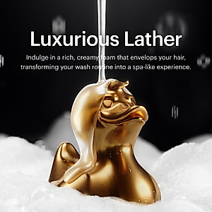 MANSCAPED® 2 In 1 Shampoo & Conditioner, UltraPremium Formula Infused with Sea Kelp, Coconut Water, Aloe for Nourishing and Hydrating Hair (16 oz), 2 Pack