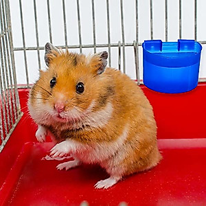 30 Pcs Cage Cups Bird Feeders Chicken Water Feeder Bunny Food Bowl Plastic Seed Bowl Hanging Chicken Feeding Watering Dish Feeders, Bird Cage Feeding Cups for Parrot Parakeet Pet Poultry Pigeon, Blue