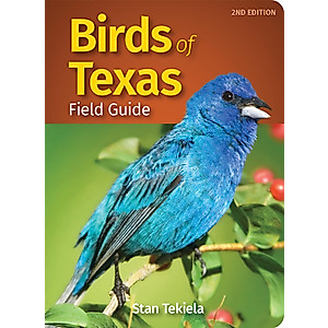 Birds of Texas Field Guide (Bird Identification Guides)