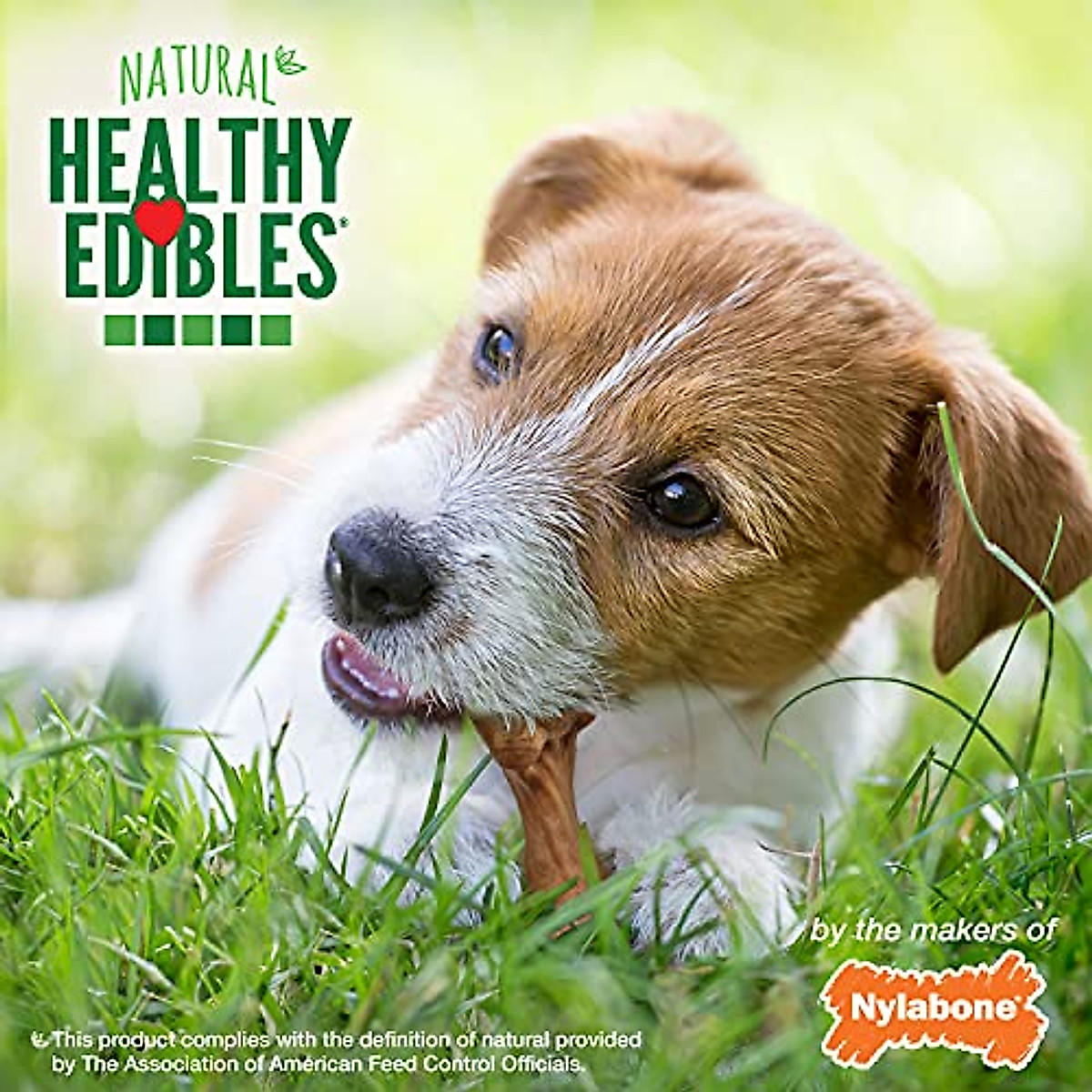 Nylabone Healthy Edibles WILD Natural Long-Lasting Dog Treats - Dog Bone Treats - Bison Flavor, Small (16 Count)