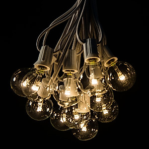 Hometown Evolution, Inc. 10 Foot Outdoor Globe String Lights (10 Foot, LED G40 Clear - White Wire - 1.6" .6 Watt Bulbs)