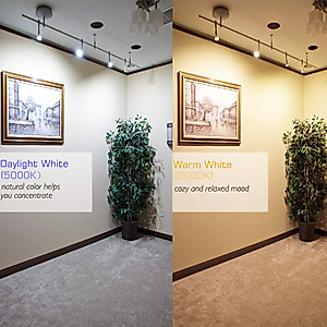 TUMUPSM MR16 LED Light Bulbs 12V 5000K Daylight GU5.3 Spot Bipin Non-Dimmable 5W 500LM 50W Halogen Replacement for Landscape, Track, Recessed Lighting 6 Pack