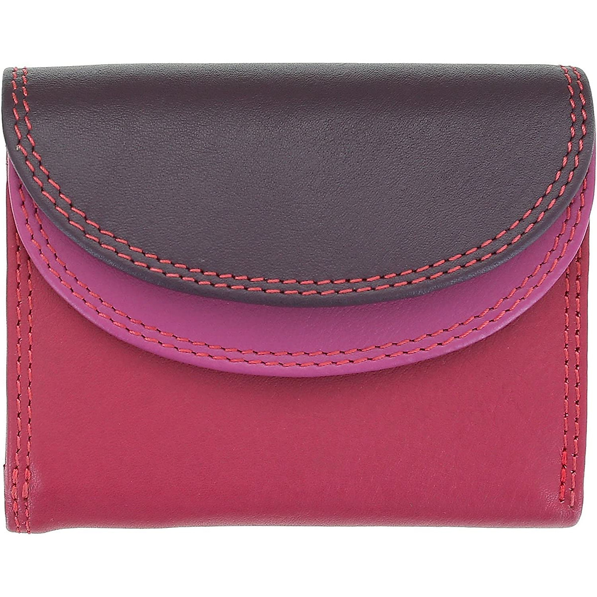 VISCONTI Rainbow Collection Small Leather Purse RFID and Tap and Go RB126 (Plum Multi)