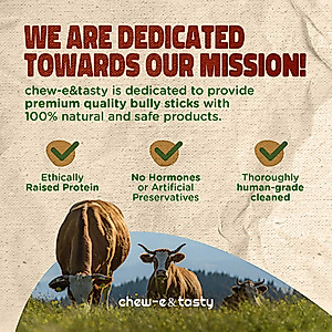chew-e&tasty 12" Giant Odor Free Bully Sticks (Pack of 2) - Long Lasting Beef Chews for Power Chewers Made of Digestible High Protein & Low Fat Dental Treats Bully Sticks for Large to Very Large Dogs