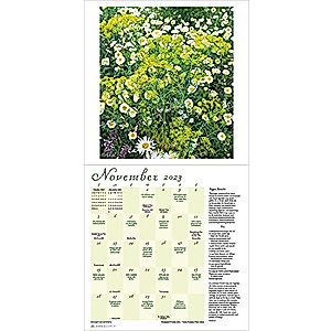 Herb Gardens 2023 Wall Calendar: Recipes & Herbal Folklore