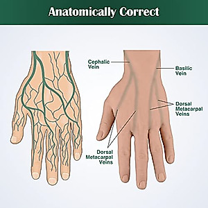 Ultrassist Venipuncture Practice Kit for Infusion Exercises, IV Practice Kit for Nursing Students and Other Medical Professionals, IV Practice Hand with Latex-Free Veins