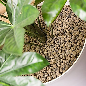 GROW!T GMC10L - 4mm-16mm Clay Pebbles, Brown, (10 Liter Bag) - Made from 100% Natural Clay, Can be used for Drainage, Decoration, Aquaponics, Hydroponics and Other Gardening Essentials