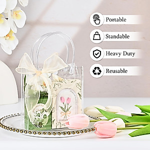 Ohuimrt 30 PCS Clear Plastic Gift Bags with Handles, Reusable Party Favor Bags with Ribbon Transparent Gift Wrap Bags Bulk for Weddings Birthdays, 5.9 x 6.3 x 2.8 Inches