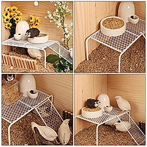 Zerodeko Chick Perch Chick Toys Chicken Coop Rest Platform Coop Brooder Roosting Bed Chicken Wooden Jungle for Large Birds Hens Parrots Macaw Cage