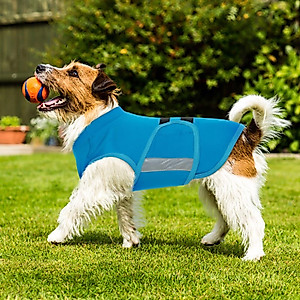 MIGOHI Dog Anxiety Relief Coat,Comfort Anxiety Vest for Dogs,Adjustable Dog Anxiety Calming Wrap for Fireworks,Thunderstorm,Travel, Separation, Dog Anxiety Jacket for Dogs for Medium Dogs,M,Blue