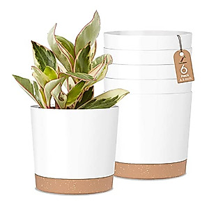 Plastic Plant Pots,6.5 inch Flower Planter Pots with Trays,Modern Stylish Indoor & Outdoor Garden Pots for All House Plants,Flowers,Herbs,Succulents (White, 6)