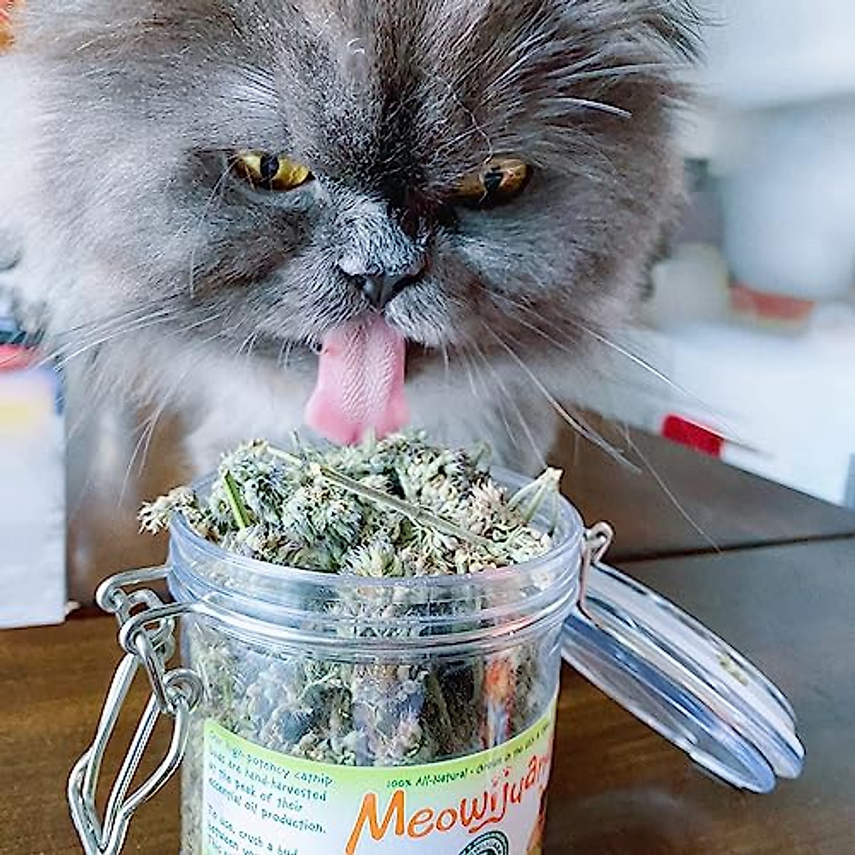 Meowijuana | Dried Premium Catnip Buds | Organic | High Potency Cat Treats | Perfect for Cat Toys | Grown In the USA | Feline and Cat Lover Approved