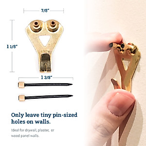 Heavy Picture Hangers 50 lbs - 20 Pack - Picture Hangers for Plaster Walls - Picture Hanging Hooks