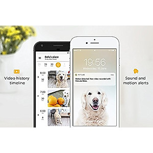 Petcube [2017 Item] Play Smart Pet Camera with Interactive Laser Toy. Remote Dog/Cat Monitoring with HD 1080p Video, Two-Way Audio, Night Vision, Sound/Motion Alerts. App-Enabled Pet and Home Safety