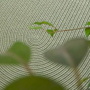 Colonial Mills Delicious Braided Reversible Solid 2X4 Scatter Throw Rug - Palm, Handcrafted in USA, Woven Texture, High Traffic, Entry, Kitchen, Living Room, Bed, Bath, Foyer, Porch - 2' X 4' Oval