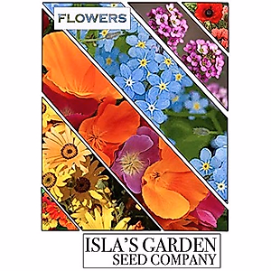 "Sensation Mix" Cosmos Flower Seeds for Planting, 100+ Seeds Per Packet, (Isla's Garden Seeds), Non GMO & Heirloom Seeds, Scientific Name: Cosmos bipinnatus, Great Home Flower Garden Gift