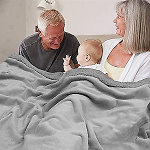 PAVILIA Waterproof Blanket for Couch, Sofa | Waterproof Dog Blanket for Large Dog, Puppy, Cat | Pet Blanket Protector | Plush Soft Warm Fuzzy Sherpa Blanket Bed Throw, Light Grey, 60x80